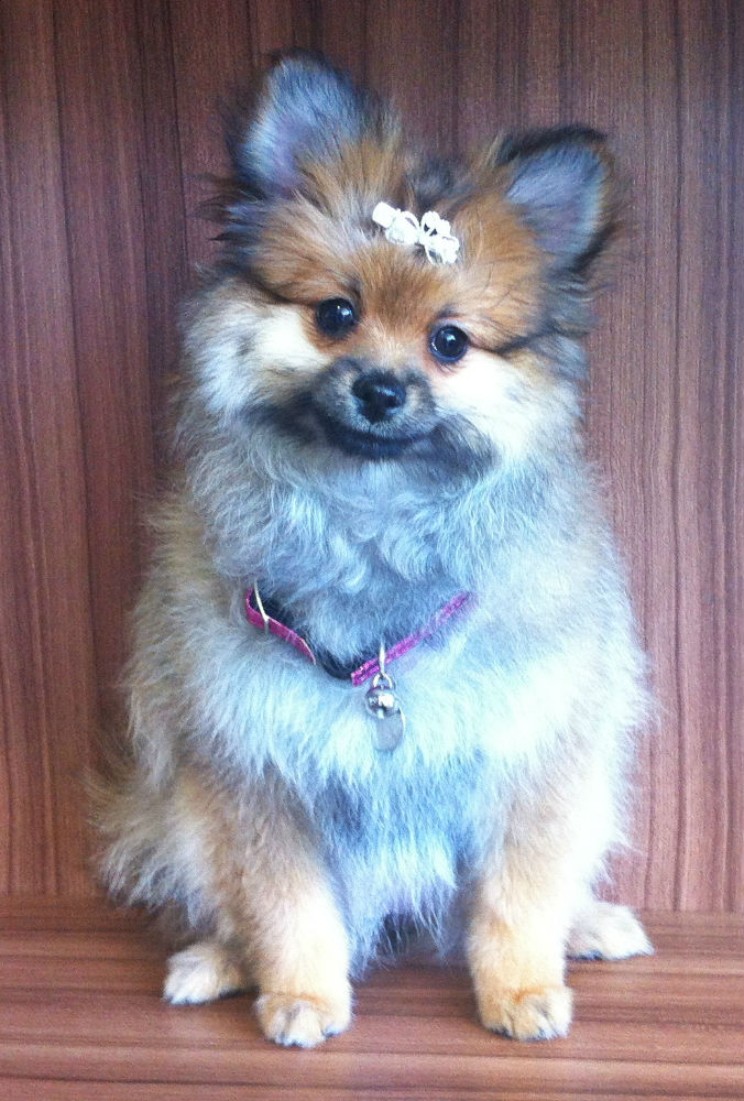 Inicio Categorias Fale conosco